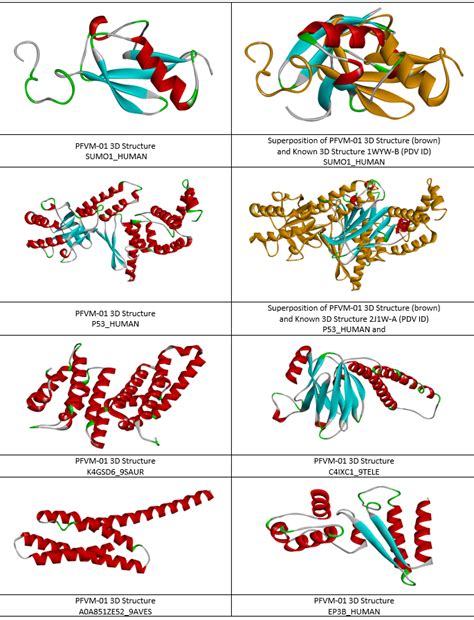 The Predicted Protein 3d Structures From Pfvm 01 First Row Displays