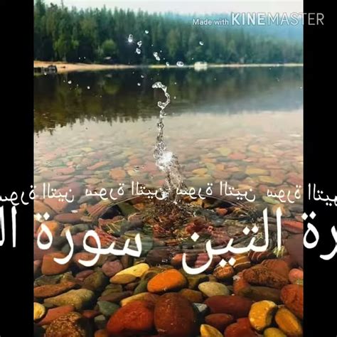 095 سورة التين برواية ورش عن نافع