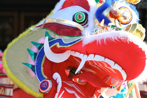 Free Images Carnival Color New Year Festival Dragon Event