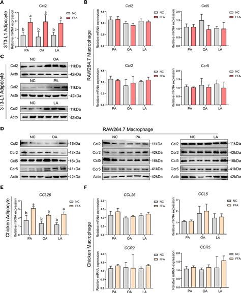 Frontiers Rna Seq Based Transcriptome Analysis Reveals The Cross Talk