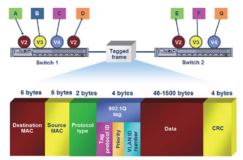 Switches And Multiple Vlans