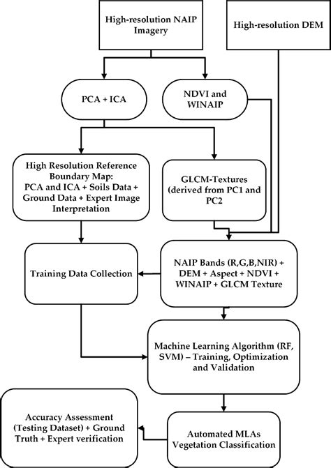 Workflow Diagram Explaining The Methods Adapted For Vegetation