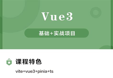vue3 vite pinia 实战项目 学习视频教程 腾讯课堂