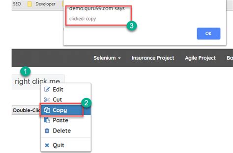 double click and right click in selenium with examples