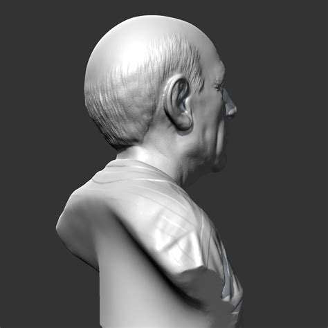 Stl File Pablo Picasso 3d Print Model 👤 Obj ・3d Printing Idea To