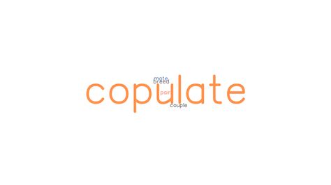 copulate synonyms and related words what is another word