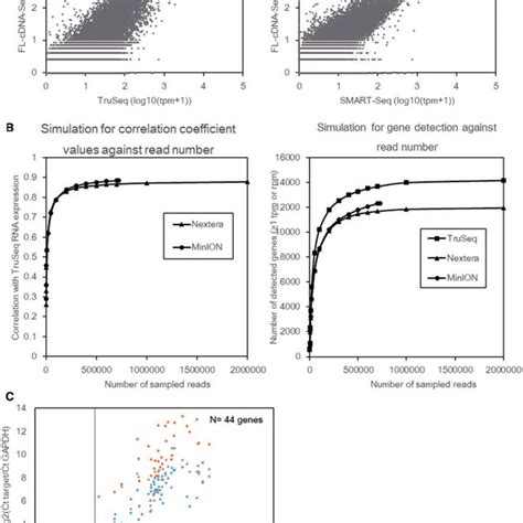 Minion Sequencing Of Full Length Cdna A Schematic Of The Fl Cdna Seq