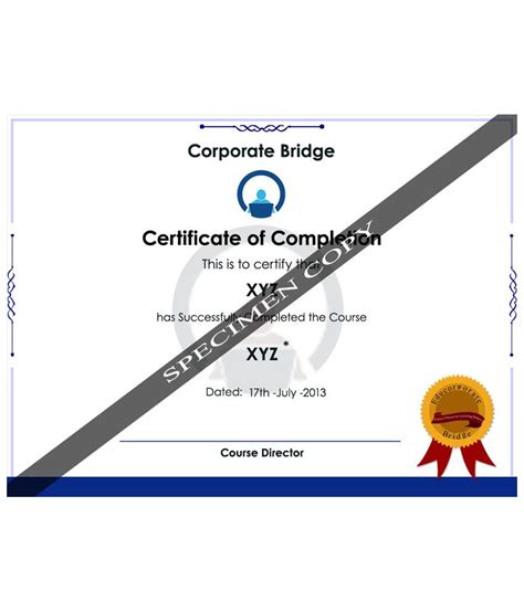 learn python programming from scratch e certificate