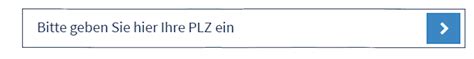css input field with inside button in wordpress site stack overflow