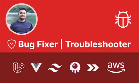 fix any bugs in your php laravel vue js application by krishnahimself