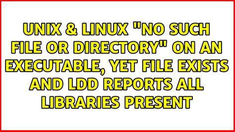 no such file or directory on an executable yet file exists and ldd