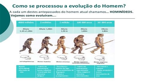 Resumo Da Evolucao Humana História