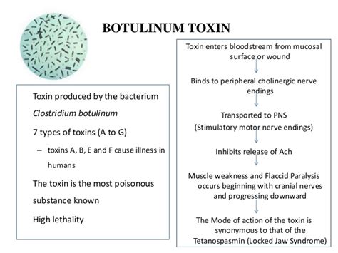 Determinants Of Pathogenicity Of Clostridium Botulinum Overall Science