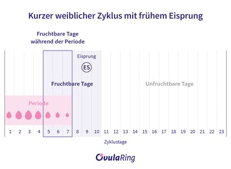 Kann Man Während Der Periode Schwanger Werden Ja Das Geht