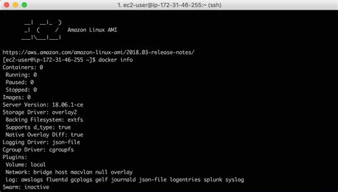 how to run your api builder docker image on aws ec2