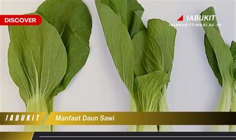 Banyak Yang Belum Tau Manfaat Daun Sawi Yang Bikin Penasaran