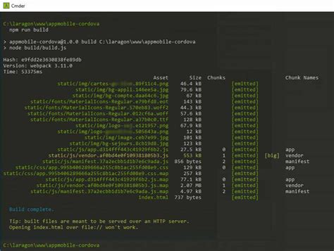 cordova webpack vue js npm run build old assets
