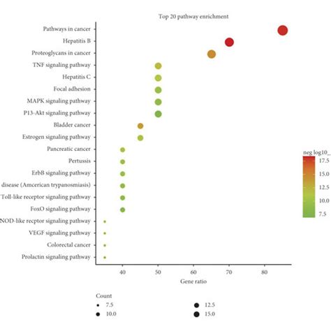 The Top 20 Pathways Of Kegg Pathway Enrichment Analysis Larger Dot