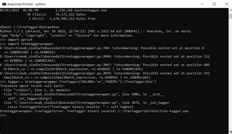 python treetaggerwrapper returns a binary invalid error tree tagger