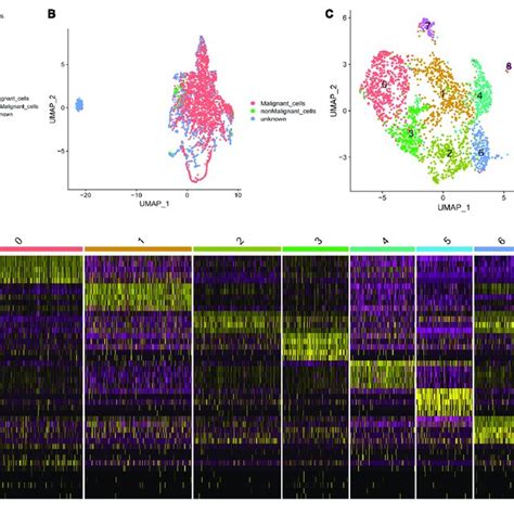 Single Cell Rna Sequencing Scrna Seq Analysis In An Early Stad A