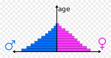 population pyramid cartoon a population pyramid which