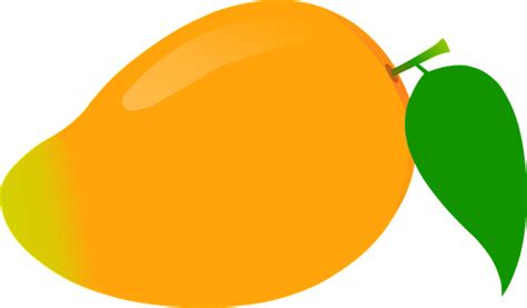 Gambar Png Mangga Seni Garis Mangga Clipart Mangga Mangga Png Dan