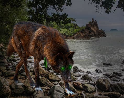 wolf rpg profile of killian