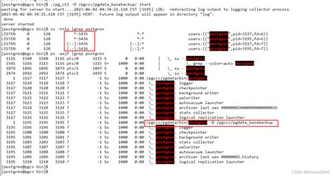 pg basebackup pg basebackup error could not get copy data stre csdn博客