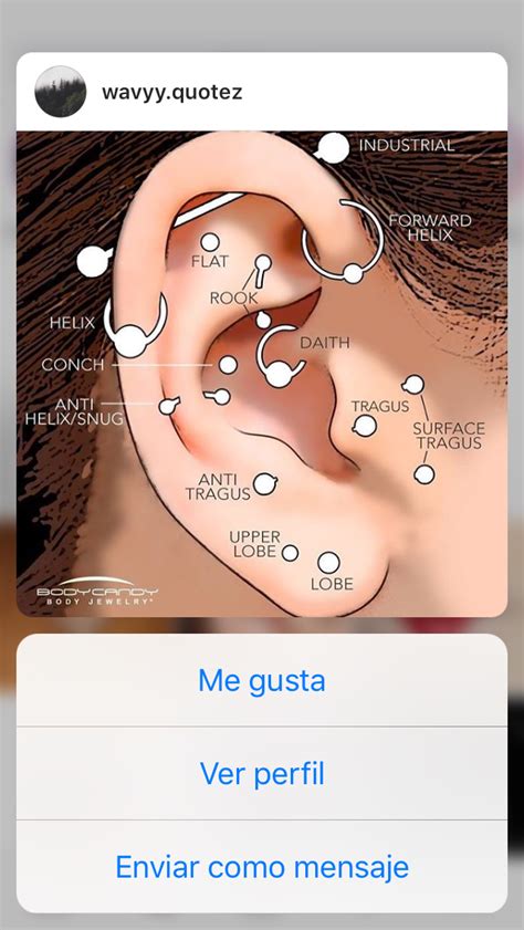 Guía De La Tabla De Perforación De Orejas Earpiercingideas ¿qué