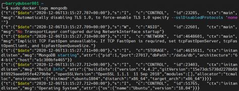 how to run mongodb as a docker container bmc software blogs
