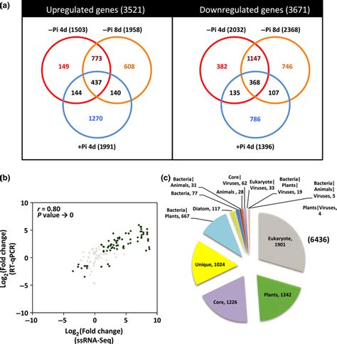 Genome Wide Transcriptome Analysis Of Phaeodactylum Tricornutum