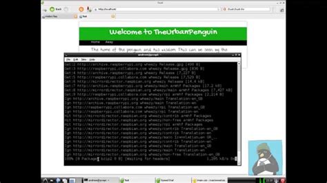 raspberry pi nginx and php youtube
