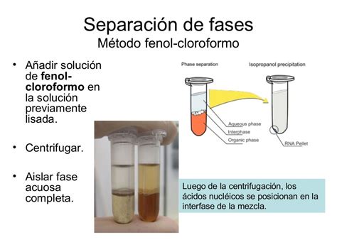 Extracción De Ácidos Nucléicos
