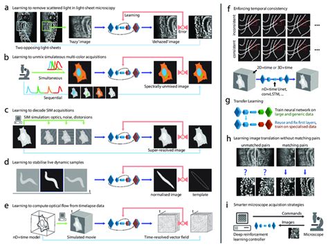 Potential Applications Of Deep Learning In Fluorescence Microscopy And