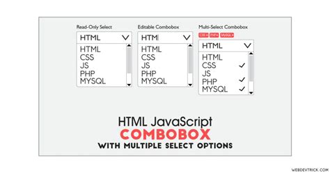 Html Combobox With Javascript And Css Combobox Types And Patterns