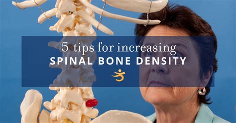 How To Increase Spinal Bone Density With Exercise— Better Bones