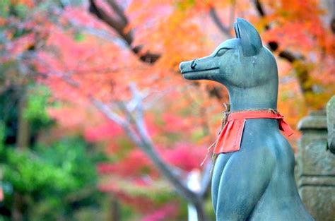 京都の紅葉｜伏見稲荷から東福寺へ徒歩で行く方法・アクセスは 実際に歩いてみたよ ごりらのせなか
