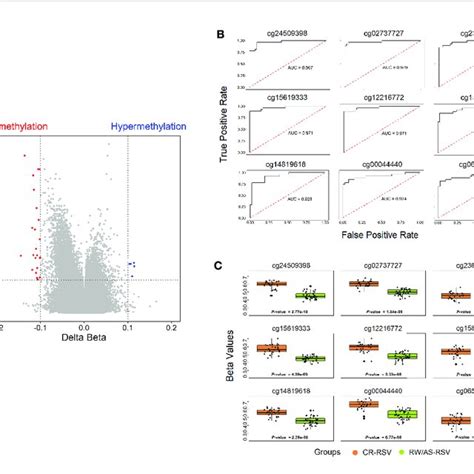 A Volcano Plots For Differential Dna Methylation Status The X Axis