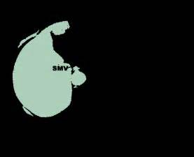 c how to extract a portion of an image given a particular color