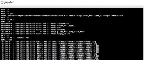transfer learning for custom labels using a tensorflow container and
