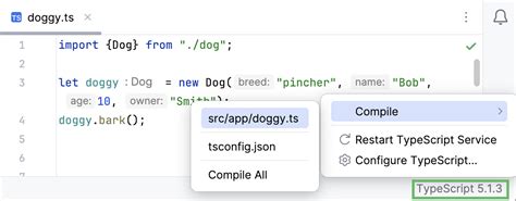 compiling typescript into javascript jetbrains rider documentation
