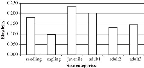 Relative Contribution Elasticity Of The Different Size Categories To