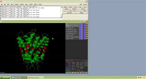 tutorial pymol 2 youtube
