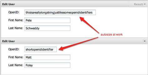 extjs4 extjs why isn t autosize working for my textfields stack