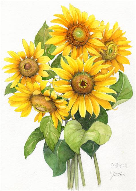 画像をダウンロード 水彩画 ひまわり