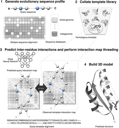 Frontiers Recent Advances In Protein Homology Detection Propelled By