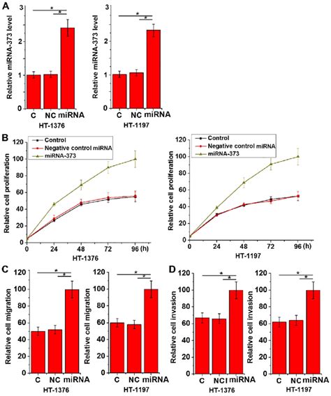 Effects Of Mirna 373 Overexpression On The Proliferative Migratory And