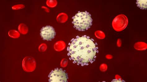 Una Nueva Investigación Sugiere Repensar Drásticamente El Tratamiento