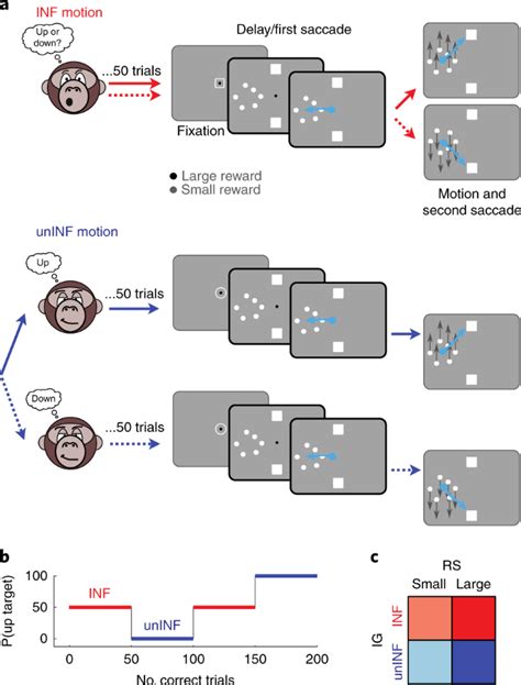 parietal neurons encode information sampling based on decision