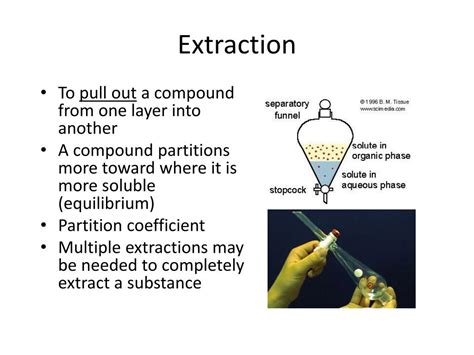 Ppt Solubility And Extraction Powerpoint Presentation Free Download